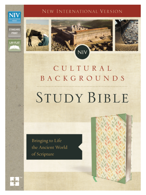 Finally, an Awesome Backgrounds Bible! – Daniel B. Wallace